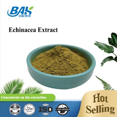 Китай High Quality Factory Wholesale Echinacea Extract Brown Yellow Powder продается