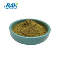 China Echinacea Extract 4% Polyphenols 2% Cichoric Acid Brown Yellow Powder Immune Support for sale