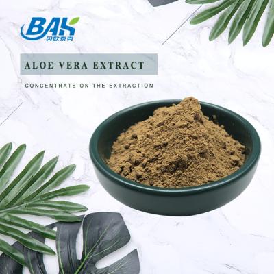 Cina BAK High Quality Pass 80 Mesh Estratto di foglie di Artemisia Argyi in polvere marrone scuro in vendita