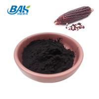 China Purple Corn Extract Anthocyanin 1% to 25% HPLC Tested Antioxidant Supplement for sale