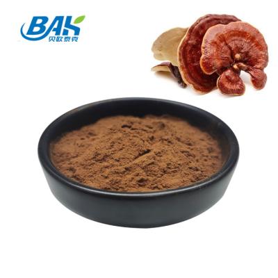 Cina 10:1 UV 10%-50% di 20:1 di supplemento dell'estratto del fungo di Reishi di HPLC in vendita