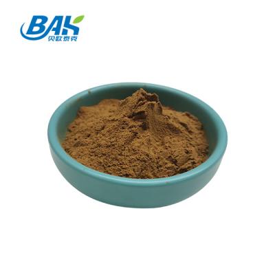 Cina L'estratto Brown del crisantemo di dendranthema morifolium spolverizza il 20:1 di 10:1 in vendita