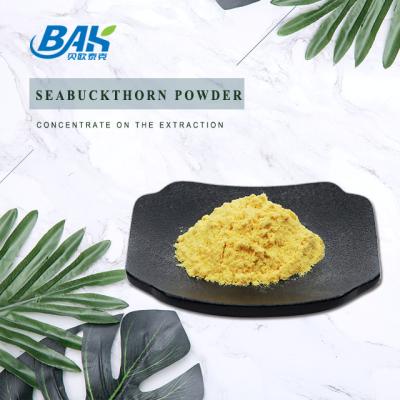 Cina Ramnoidi Linn Seabuckthorn Powder di Hippophae in vendita