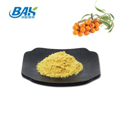 Cina Ramnoidi Linn Seabuckthorn Powder di Hippophae in vendita