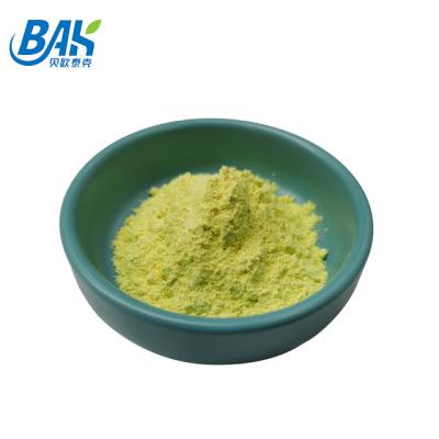 Cina Rutin Nf11 Sophora Japonica Estratto Polvere gialla Integratori per il potenziamento immunitario in vendita