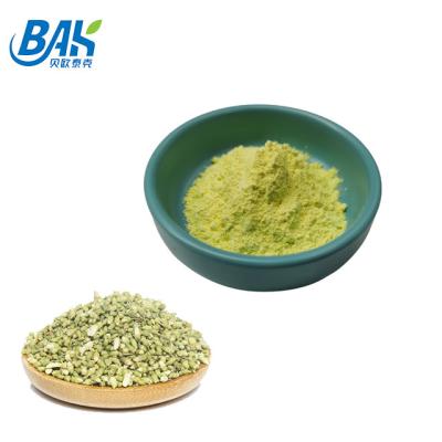 Cina Rutin Nf11 Sophora Japonica Estratto Polvere gialla Integratori per il potenziamento immunitario in vendita