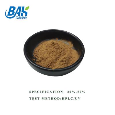 Cina Polvere dell'estratto di Herb Immune Enhancing Supplements 40% Bacopa Monnieri in vendita