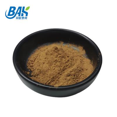 Cina Polvere dell'estratto di Herb Immune Enhancing Supplements 40% Bacopa Monnieri in vendita