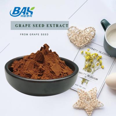 Cina Polvere rossa CAS 84929-27-1 di Brown dell'estratto del seme dell'uva di Procyanidine dell'antociano in vendita