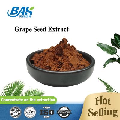 Китай Порошок CAS 84929-27-1 Брауна выдержки семени виноградины Procyanidine антоцианина красный продается