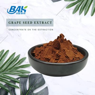 Cina Polvere rossa CAS 84929-27-1 di Brown dell'estratto del seme dell'uva di Procyanidine dell'antociano in vendita