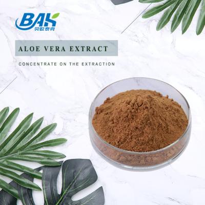 Cina Rosavin Salidroside Integratore per la protezione del fegato Polvere di estratto di Rhodiola Rosea in vendita