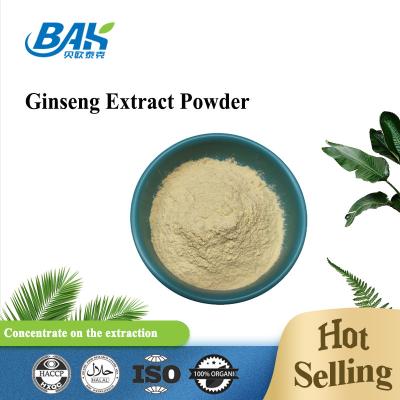 中国 Factory Wholesale 98% Mens Health Supplement Ginsenosides Ginseng Extract Powder 販売のため