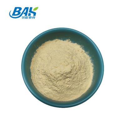 Cina Polvere giallo-chiaro di Ginsenoside di HPLC di panax ginseng dell'estratto UV della radice in vendita