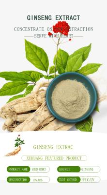 Cina L'estratto del ginseng di supplemento della salute degli uomini di ginsenosidi di 98% spolverizza 22427-39-0 in vendita