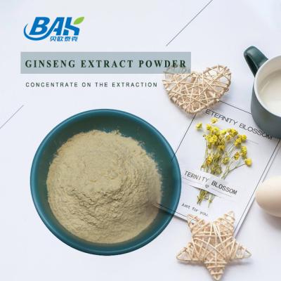 Cina Polvere giallo-chiaro di Ginsenoside di HPLC di panax ginseng dell'estratto UV della radice in vendita