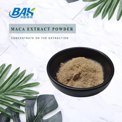 Cina Estratto di Macamides Maca di supplemento della salute degli uomini in vendita