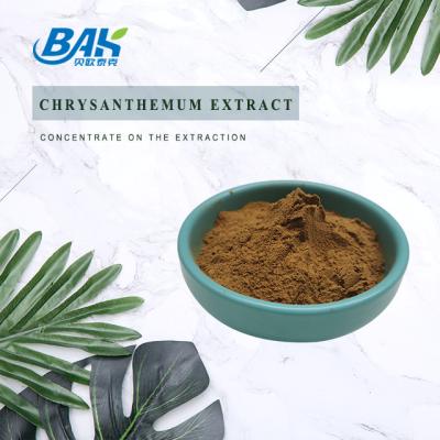 Cina L'estratto Brown del crisantemo di dendranthema morifolium spolverizza il 20:1 di 10:1 in vendita