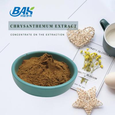Cina L'estratto Brown del crisantemo di dendranthema morifolium spolverizza il 20:1 di 10:1 in vendita