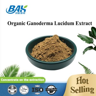 Cina Il ganoderma lucidum organico dei polisaccaridi UV di HPLC estrae 100 la maglia del passaggio 80 in vendita