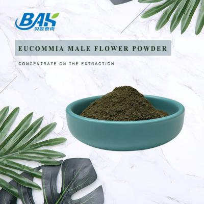 Cina Polvere maschio del fiore del fegato di protezione di eucommia ulmoides puro di supplemento in vendita