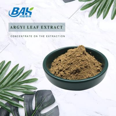 Cina Il passaggio 80 Mesh Artemisia Argyi Leaf Extract Brown scuro spolverizza anti Cruor in vendita