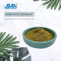 China Echinacea Extract 4% Polyphenols 2% Cichoric Acid Brown Yellow Powder Immune Support for sale
