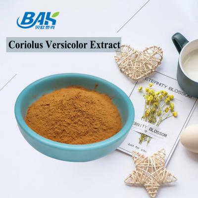 China Organic Coriolus Versicolor Mushroom Extract Supplement Brown Yellow Powder à venda