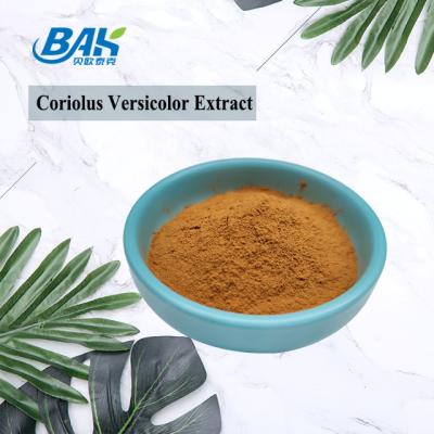 China Organic Coriolus Versicolor Mushroom Extract Supplement Brown Yellow Powder à venda