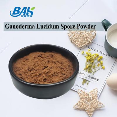 Cina Parete della polvere di supplemento dell'estratto del fungo della spora di ganoderma lucidum di TLC rotta in vendita
