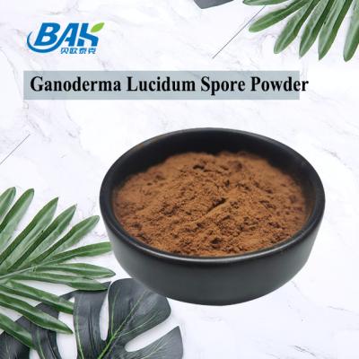 Cina Parete della polvere di supplemento dell'estratto del fungo della spora di ganoderma lucidum di TLC rotta in vendita
