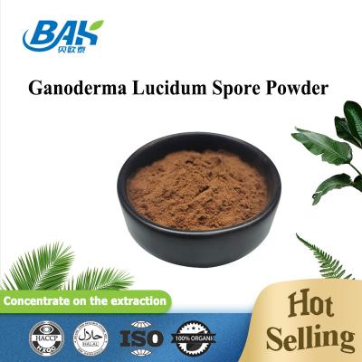 Cina Parete della polvere di supplemento dell'estratto del fungo della spora di ganoderma lucidum di TLC rotta in vendita