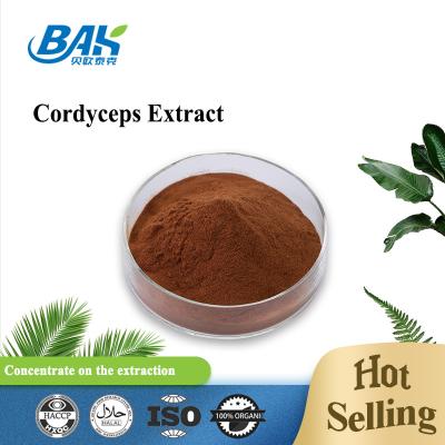 中国 Cordycepin 5% 10% 20% Mens Health Supplement Cordyceps Extract Brown Powder 販売のため