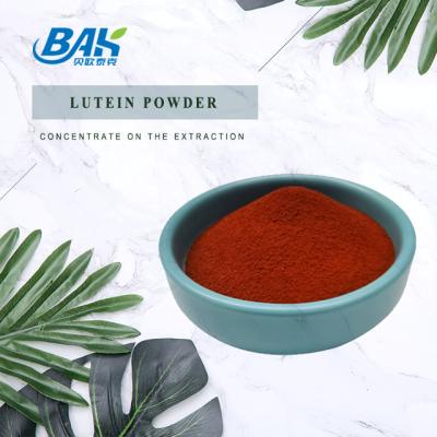 Cina Polvere rossa arancio di miglioramento immune 10% di supplementi della luteina 5% in vendita