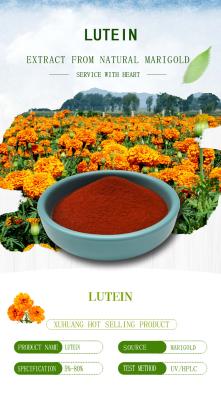 Cina Polvere rossa arancio di miglioramento immune 10% di supplementi della luteina 5% in vendita