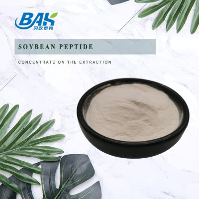 Cina 100 80 40 Mesh Soybean Peptide Protein Powder 1000Dal in vendita