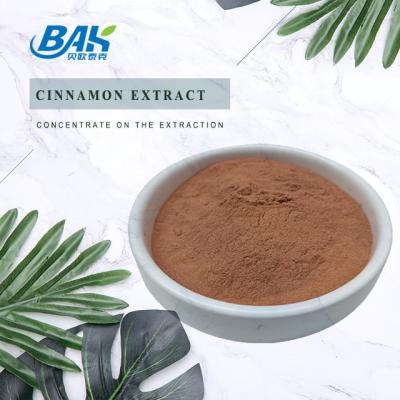 Cina Maglia rossa del passaggio 80 della polvere 100% di Cassia Presl Cinnamon Extract Brown del cinnamomo in vendita