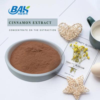 Cina Maglia rossa del passaggio 80 della polvere 100% di Cassia Presl Cinnamon Extract Brown del cinnamomo in vendita