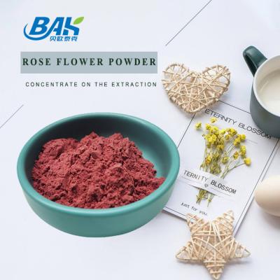 Cina Bulk Antioxidant Natural Food Additives Pure Rose Extract Powder in vendita