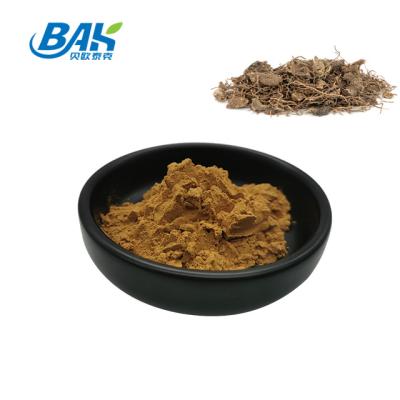 Cina Puerarin Womens Health Supplement Polvere di estratto di radice di Kudzu in vendita