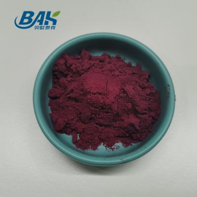 Chine BAK Aronia Extrait 25% Extrait d' anthocyanine Supplément de poudre rouge violet à vendre