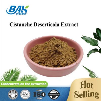 中国 Echinacoside 15%Min Acteoside 3.5%Min Cistanche Deserticolaのエキスの補足80% 販売のため