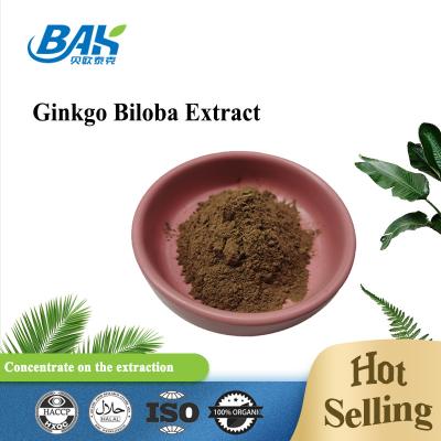 Cina Estratto Cas 90045-36-6 del ginkgo biloba in vendita
