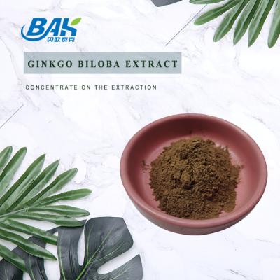 Cina Estratto Cas 90045-36-6 del ginkgo biloba in vendita