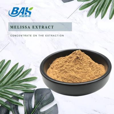 Cina Estratto cascer halal della melissa di Melissa Leaf Extract Rosmarinic Acid in vendita
