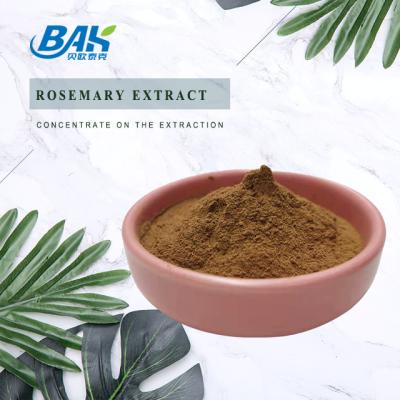 Cina HPLC Rosemary Extract Sleep Enhancing Supplement 5%-98% in vendita