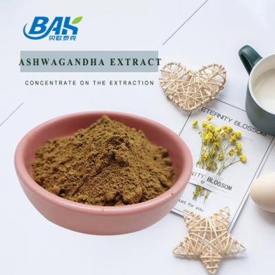 Cina Mens Health Supplement Withanolides Extract Ashwagandha Extract Powder 1% 2.5% in vendita