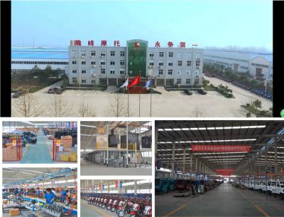 China Truck Parts Differential Heavy Rear Axle Customized for Your Tricycle's Requirements for sale