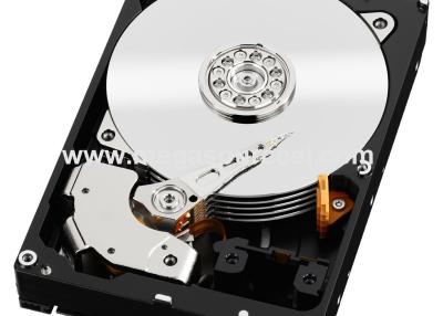 Cina Oro 4TB 3,5