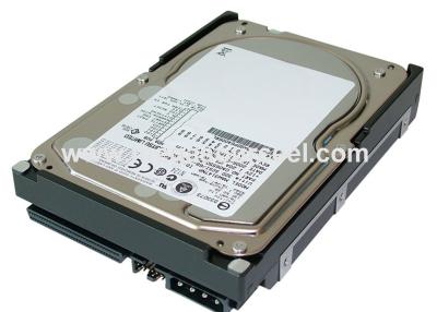 中国 冨士通企業147 GB内部HDD - 3.5